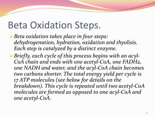 Beta Oxidation By Ali Afzal.pptx