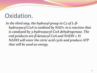 Beta Oxidation By Ali Afzal.pptx