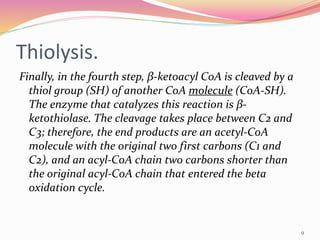 Beta Oxidation By Ali Afzal.pptx