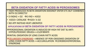 Beta oxidation | PDF