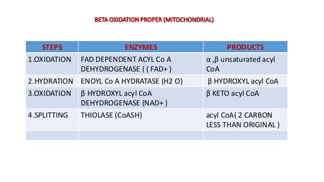 Beta oxidation