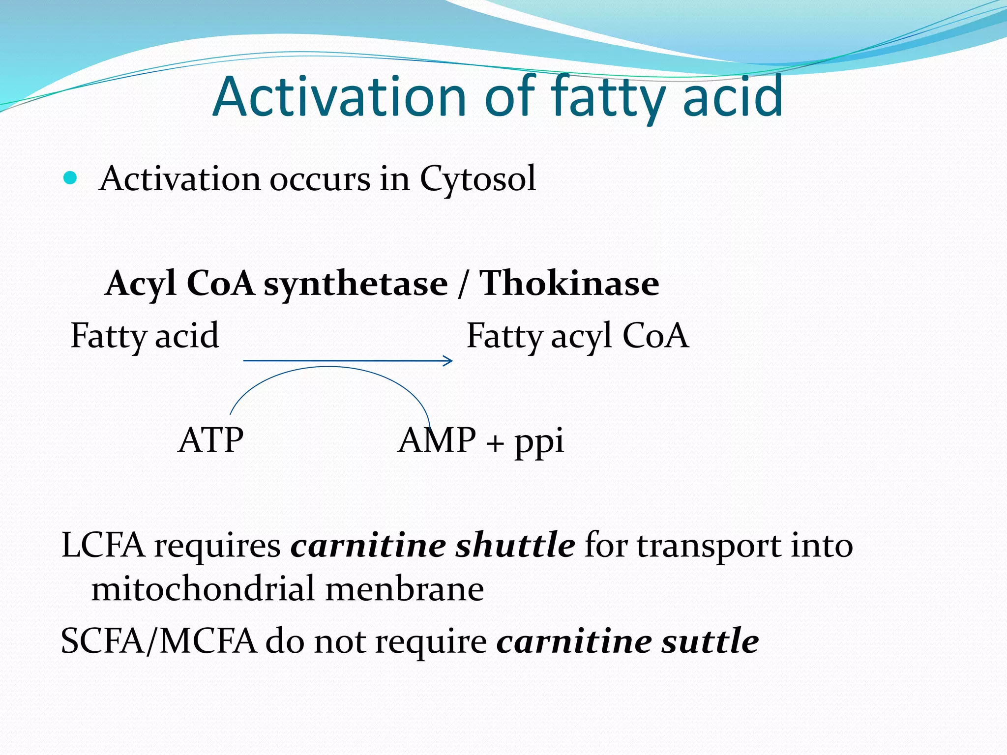 Fatty acid oxidation ( Beta , Alpha omega and peroxisomal) | PPTX