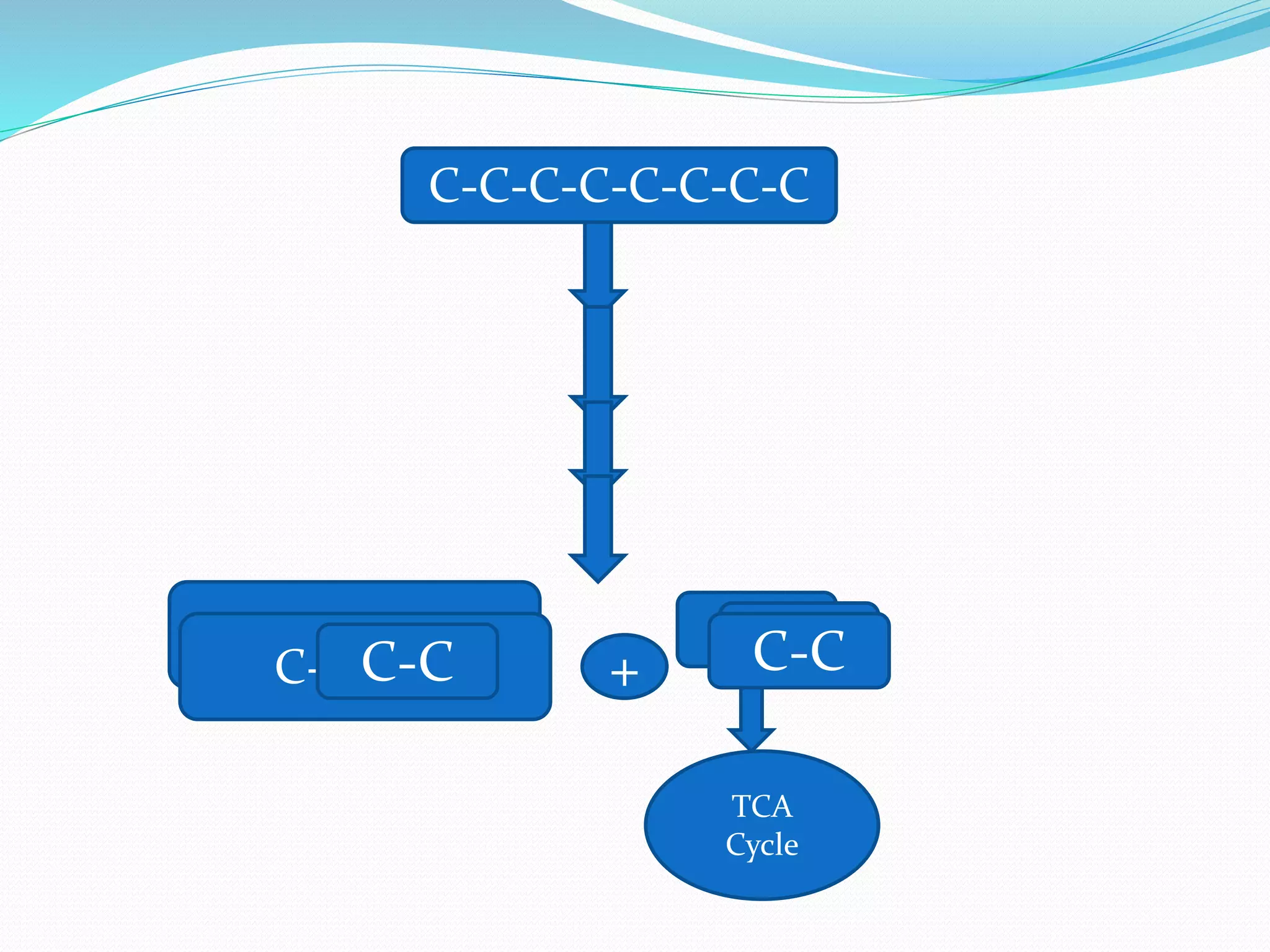 Fatty acid oxidation ( Beta , Alpha omega and peroxisomal) | PPTX