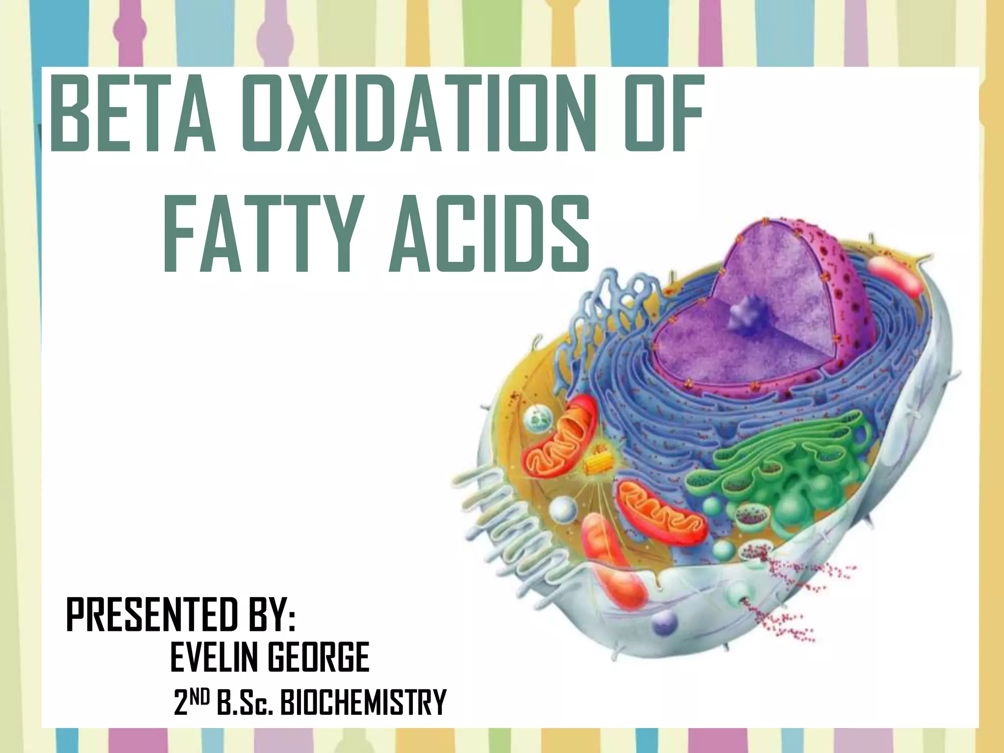 Beta oxidation of fatty acids | PPT