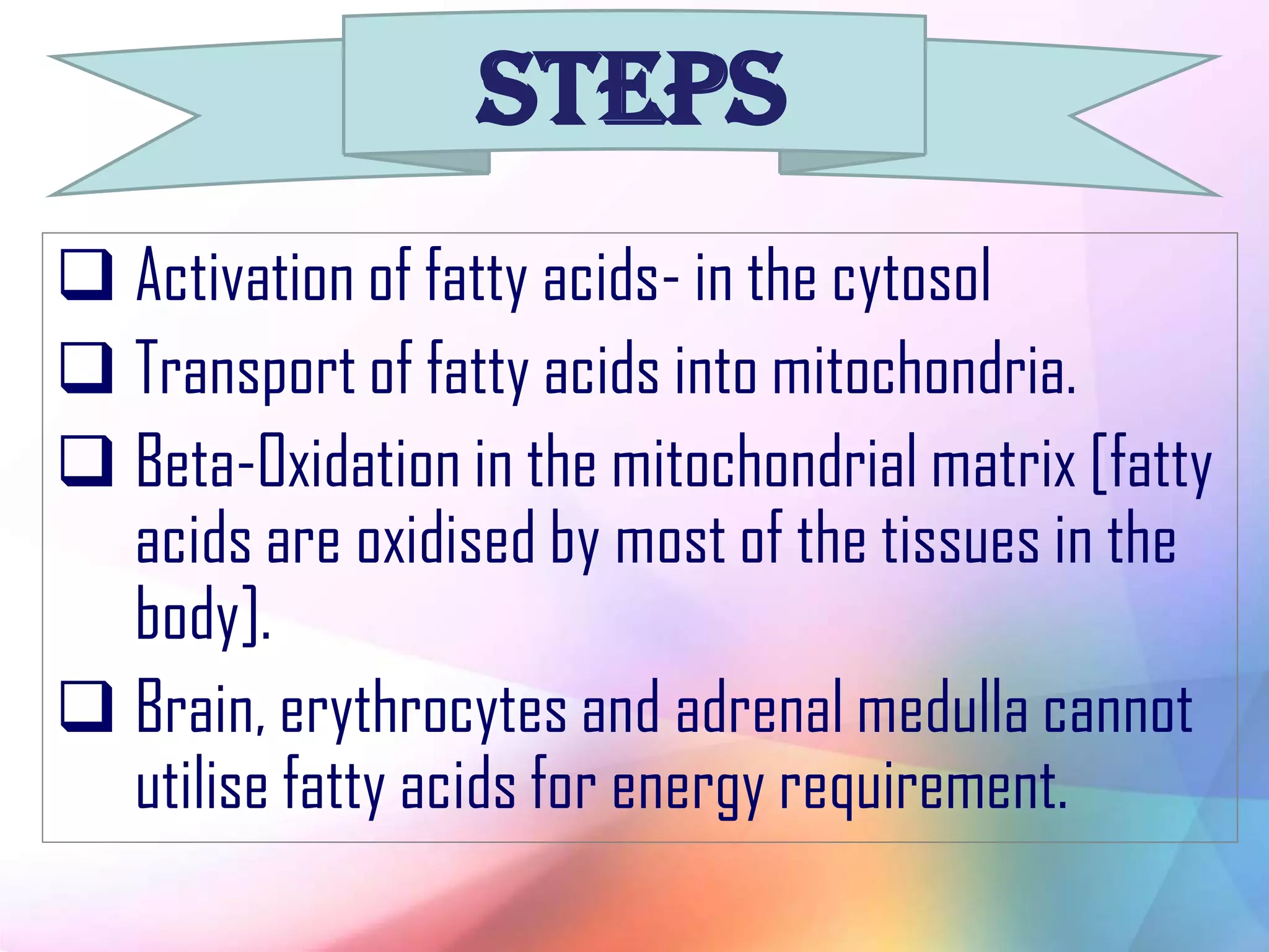 Beta oxidation of fatty acids | PDF