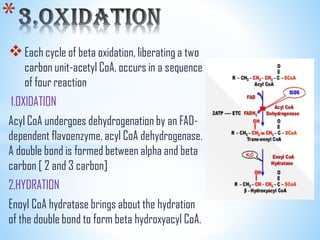 Beta oxidation of fatty acids | PPT