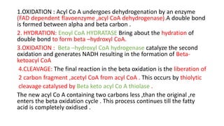 Beta oxidation of fatty acids | PPTX