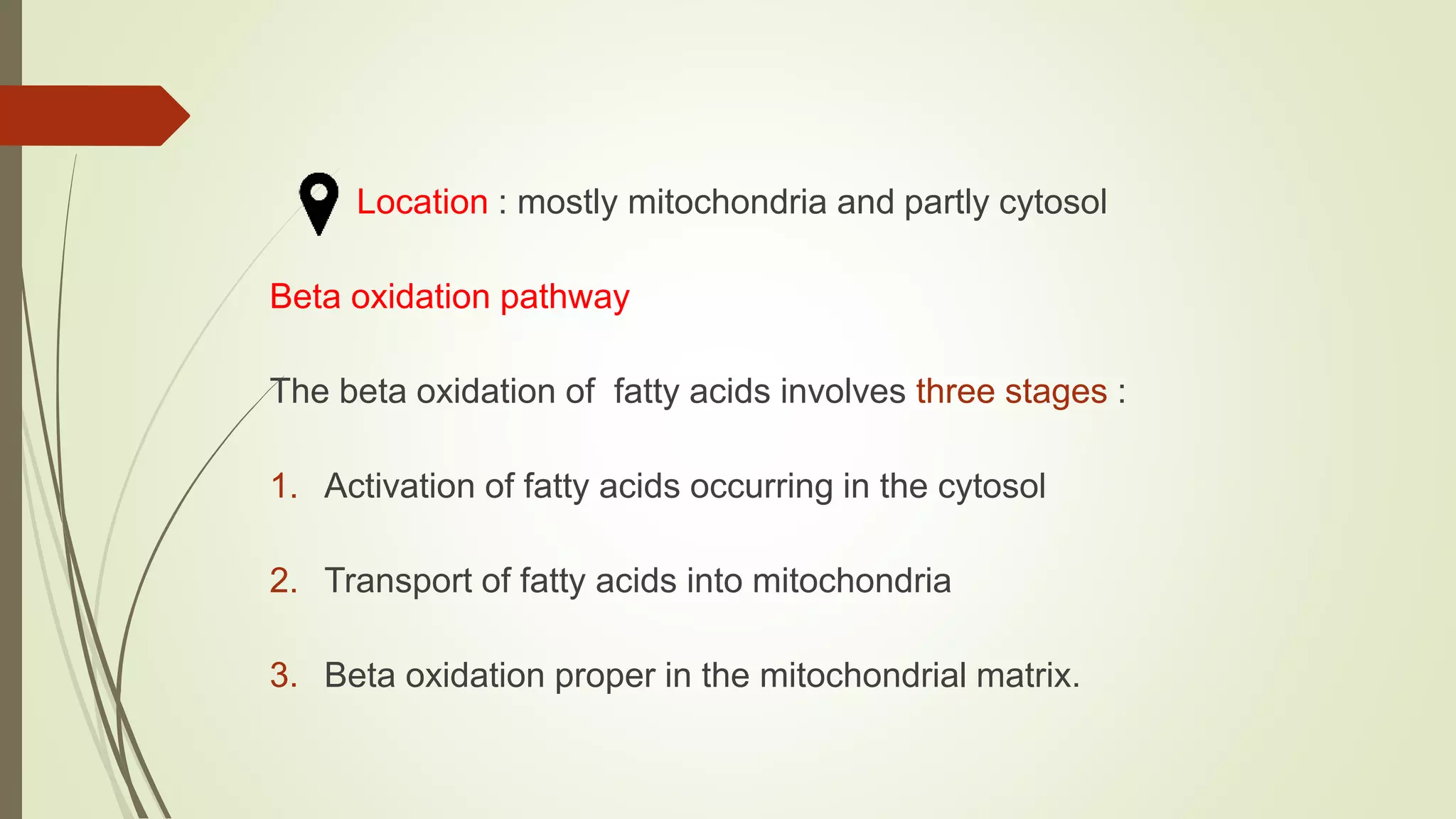 Beta oxidation of fatty acids | PPTX