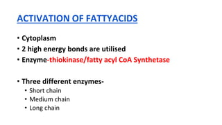 beta oxidation of fattyacids.pptx