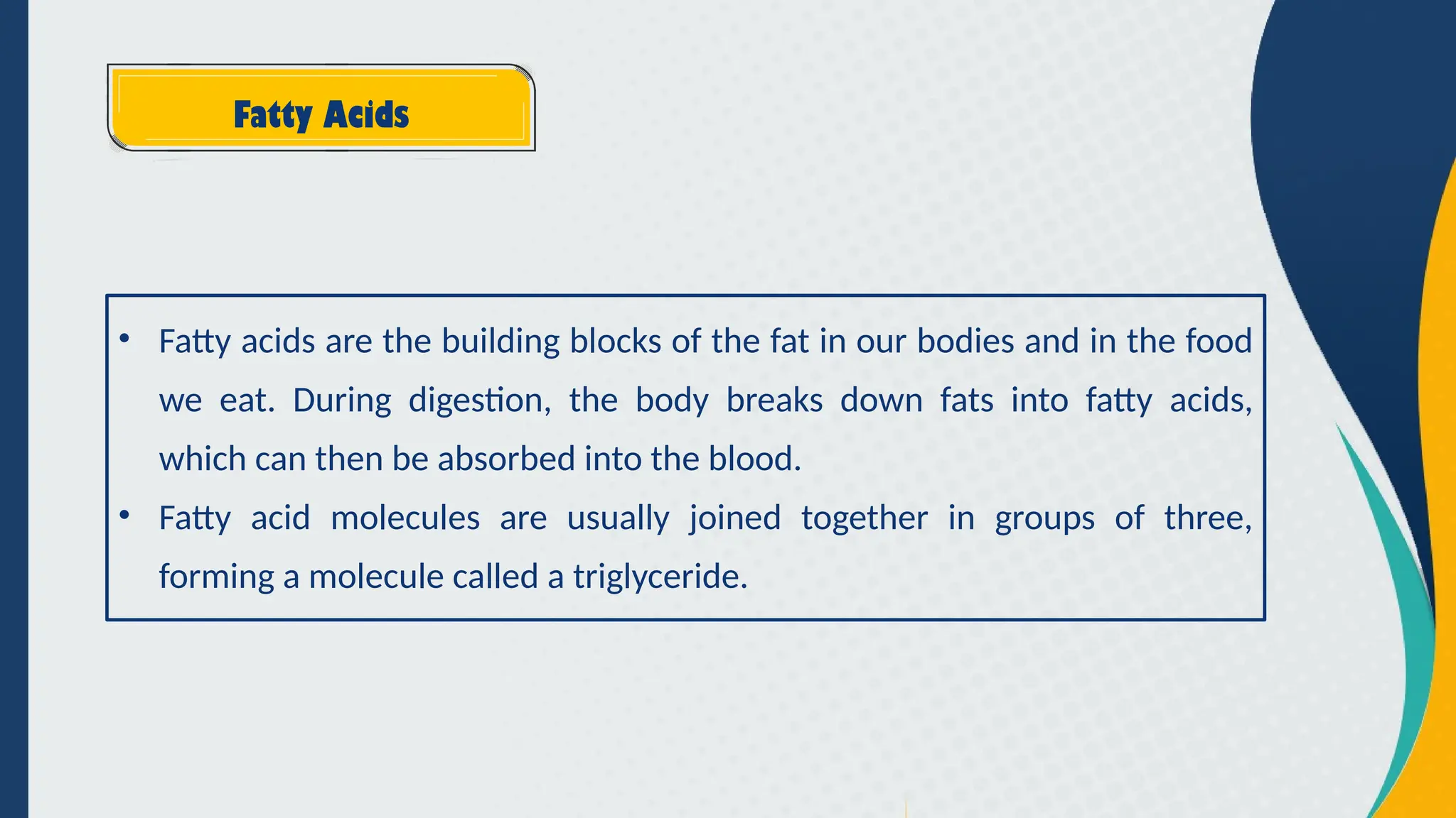 Overview about Beta Oxidation of Fatty Acids.pptx