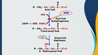 Overview about Beta Oxidation of Fatty Acids.pptx