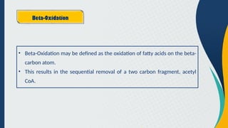 Overview about Beta Oxidation of Fatty Acids.pptx