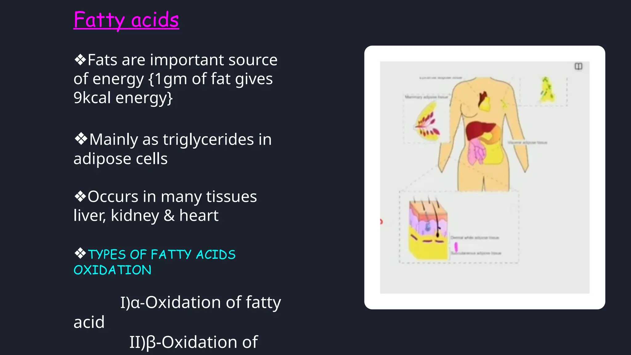 BETA( β) OXIDATION OF FATTY ACIDS.pptx