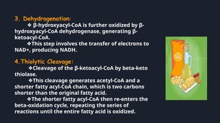BETA( β) OXIDATION OF FATTY ACIDS.pptx