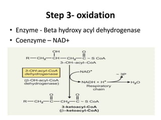 Beta oxidation of fatty acids | PPT