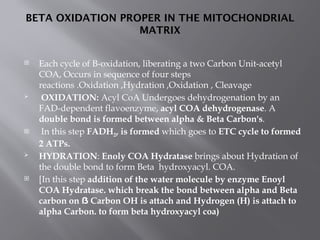 BETA OXIDATION OF FATTY ACIDS .pptx..... | PPTX