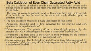 Beta Oxidation of Saturated Fatty acids.pptx