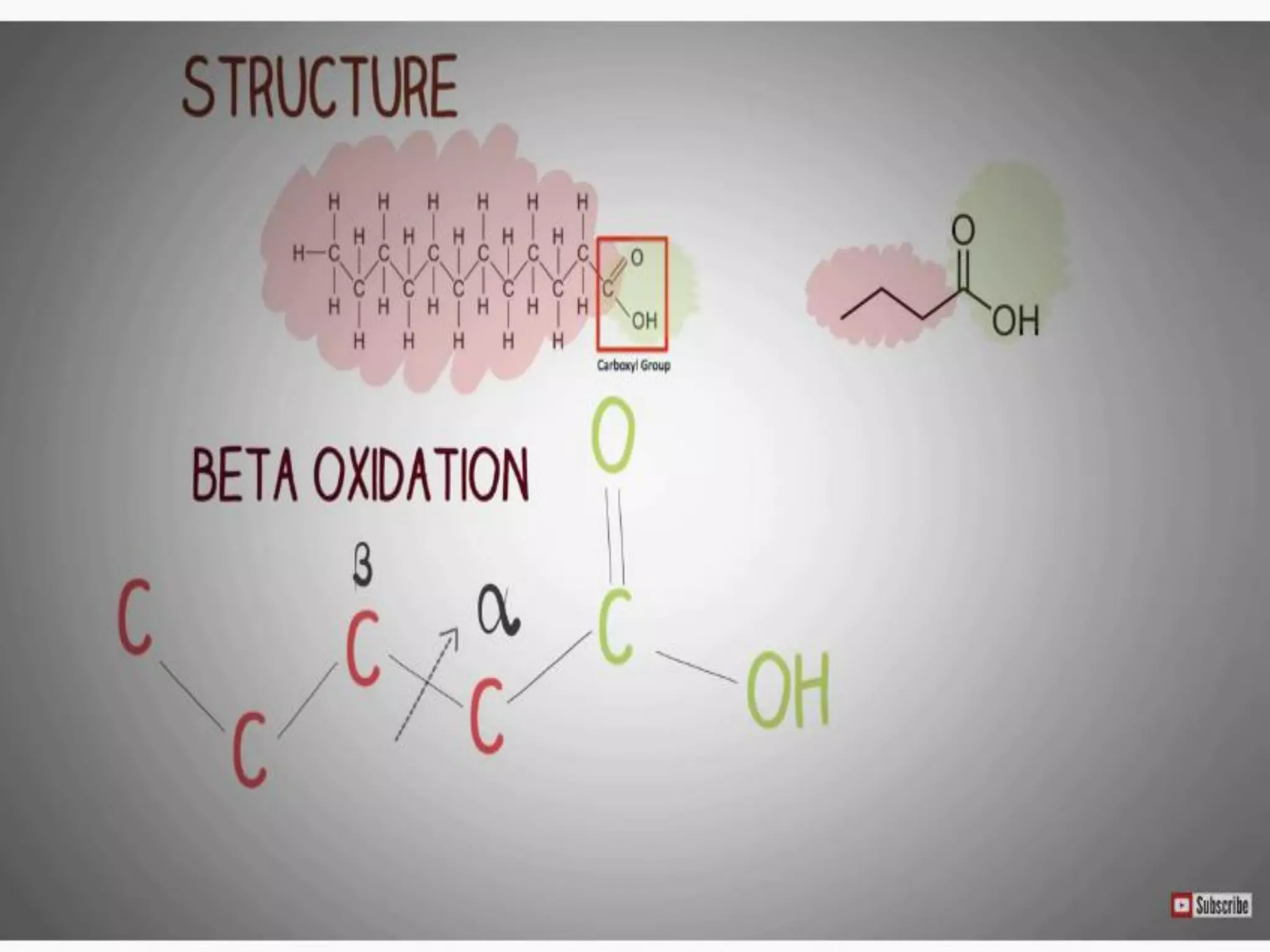 Beta Oxidation ppt.pdf