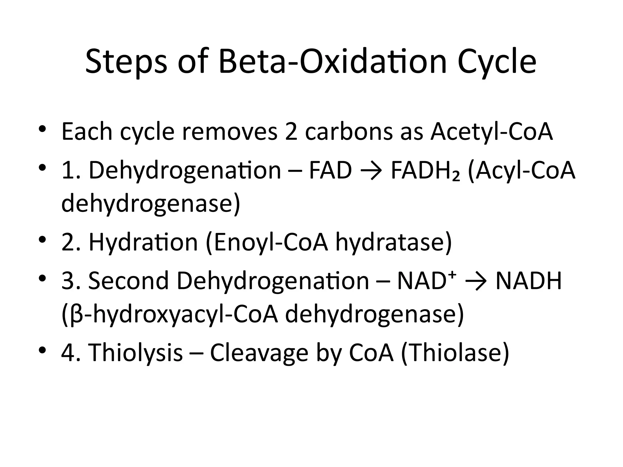 Beta_Oxidation_Presentation.pptx biochemistry | PPTX