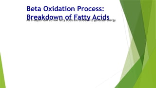 Beta_Oxidation_Process_With_Images_Complete_Presentation_For ...