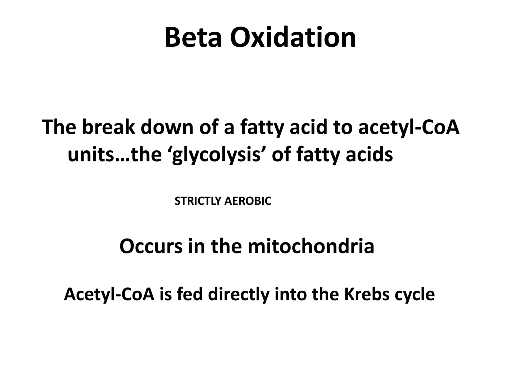 Beta oxidation & protein catabolism | PPTX