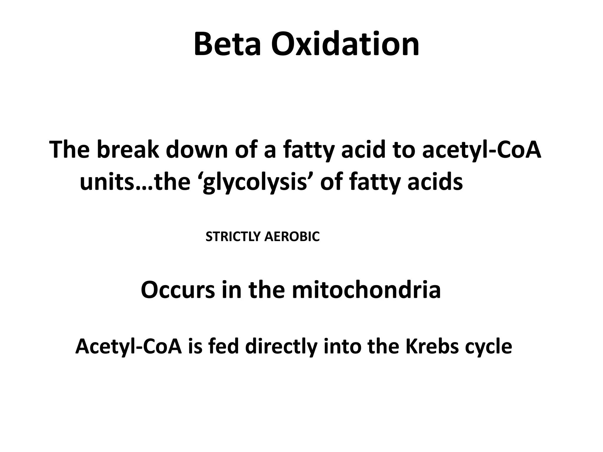 Beta oxidation & protein catabolism | PPTX