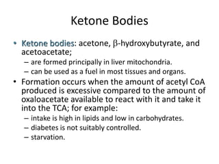 Beta oxidation & protein catabolism | PPTX