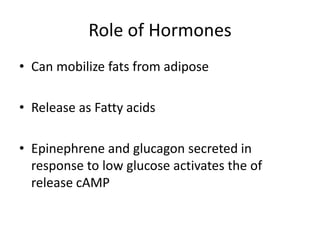 Beta oxidation & protein catabolism | PPTX
