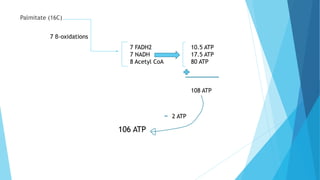 Beta oxidation relationships | PPTX | Endocrine and Metabolic Diseases | Diseases and Conditions