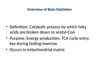 Beta_Oxidation_Visual_Enhanced_Presentation.pptx