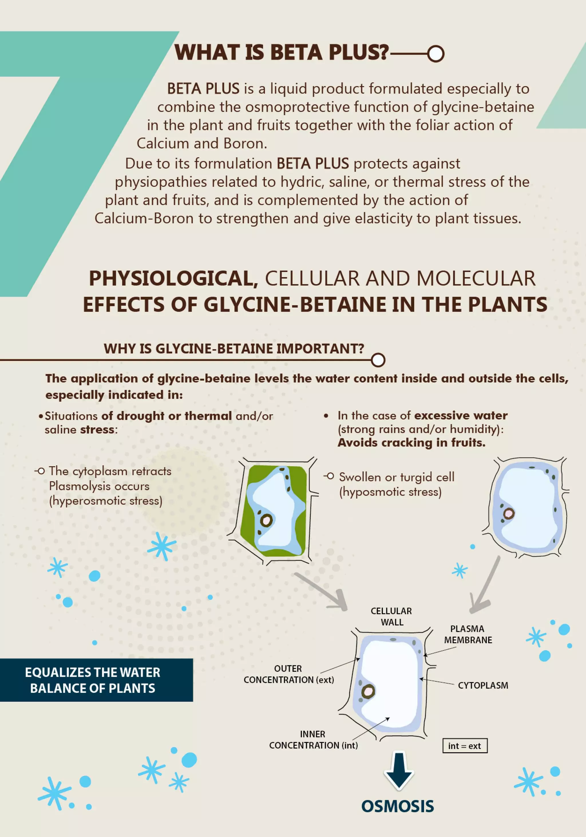 Beta PLUS - The Osmoprotection that your crops need | Kimitec Group | PDF