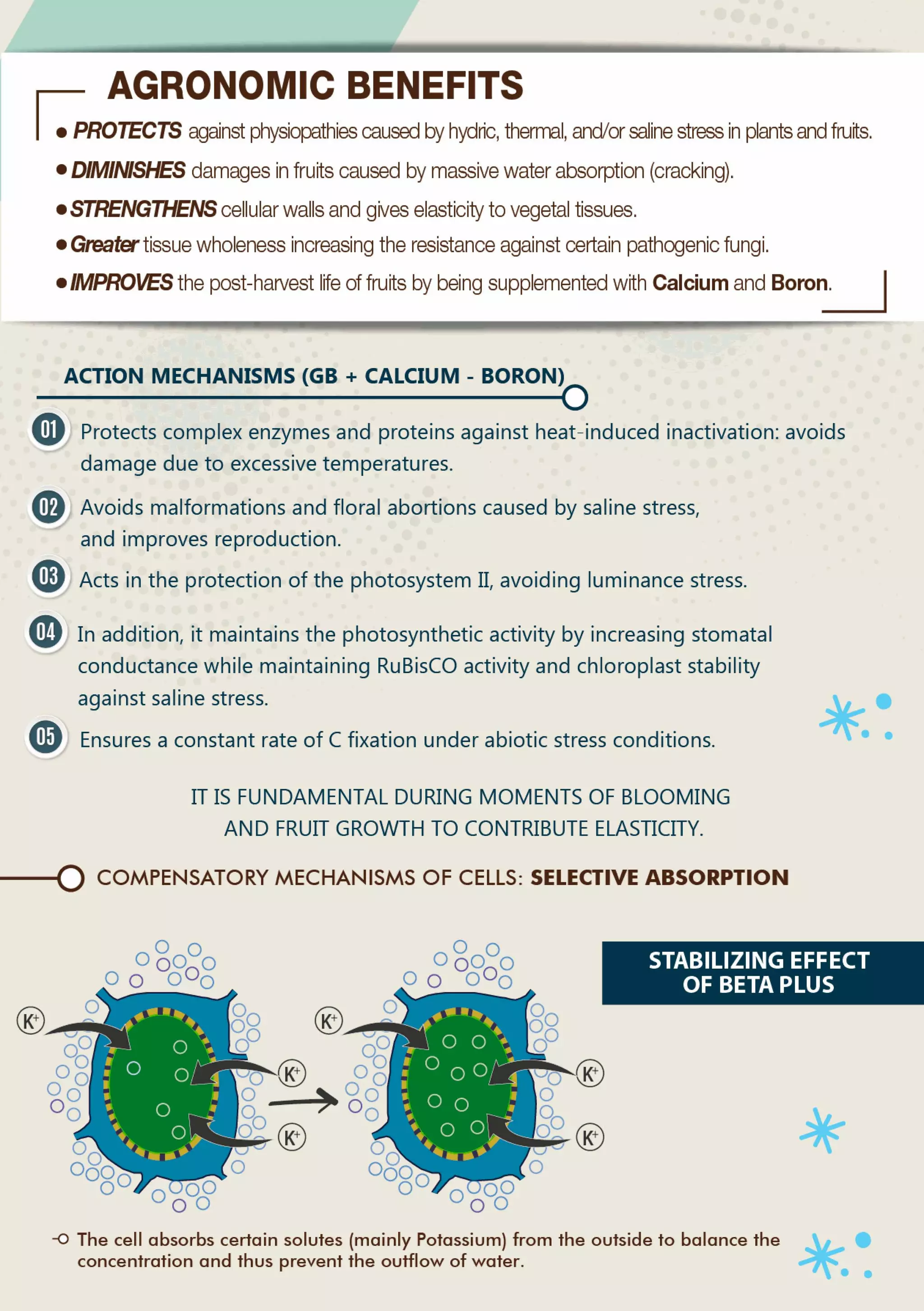 Beta PLUS - The Osmoprotection that your crops need | Kimitec Group | PDF