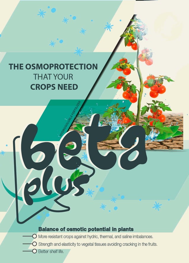 Beta PLUS - The Osmoprotection that your crops need | Kimitec Group ...