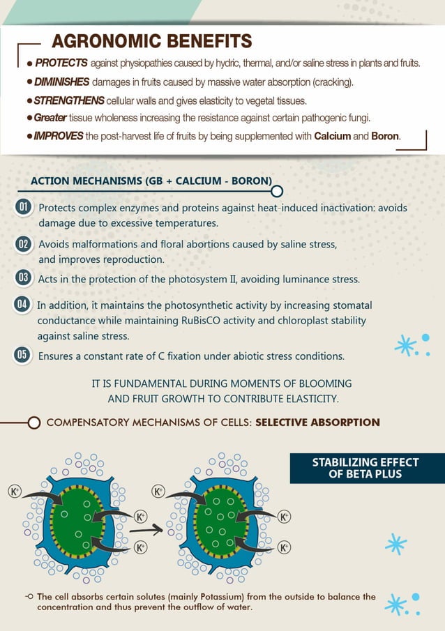 Beta PLUS - The Osmoprotection that your crops need | Kimitec Group ...