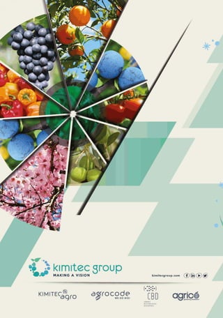 Beta PLUS - The Osmoprotection that your crops need | Kimitec Group | PDF