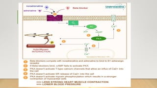 Beta receptor blockers | PPTX
