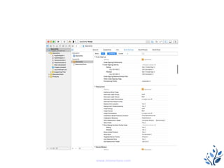Beta testing guidelines for developer | PPT