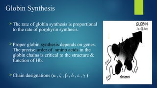 Anemia Section - Journey to Beta Thalassemia | PPTX