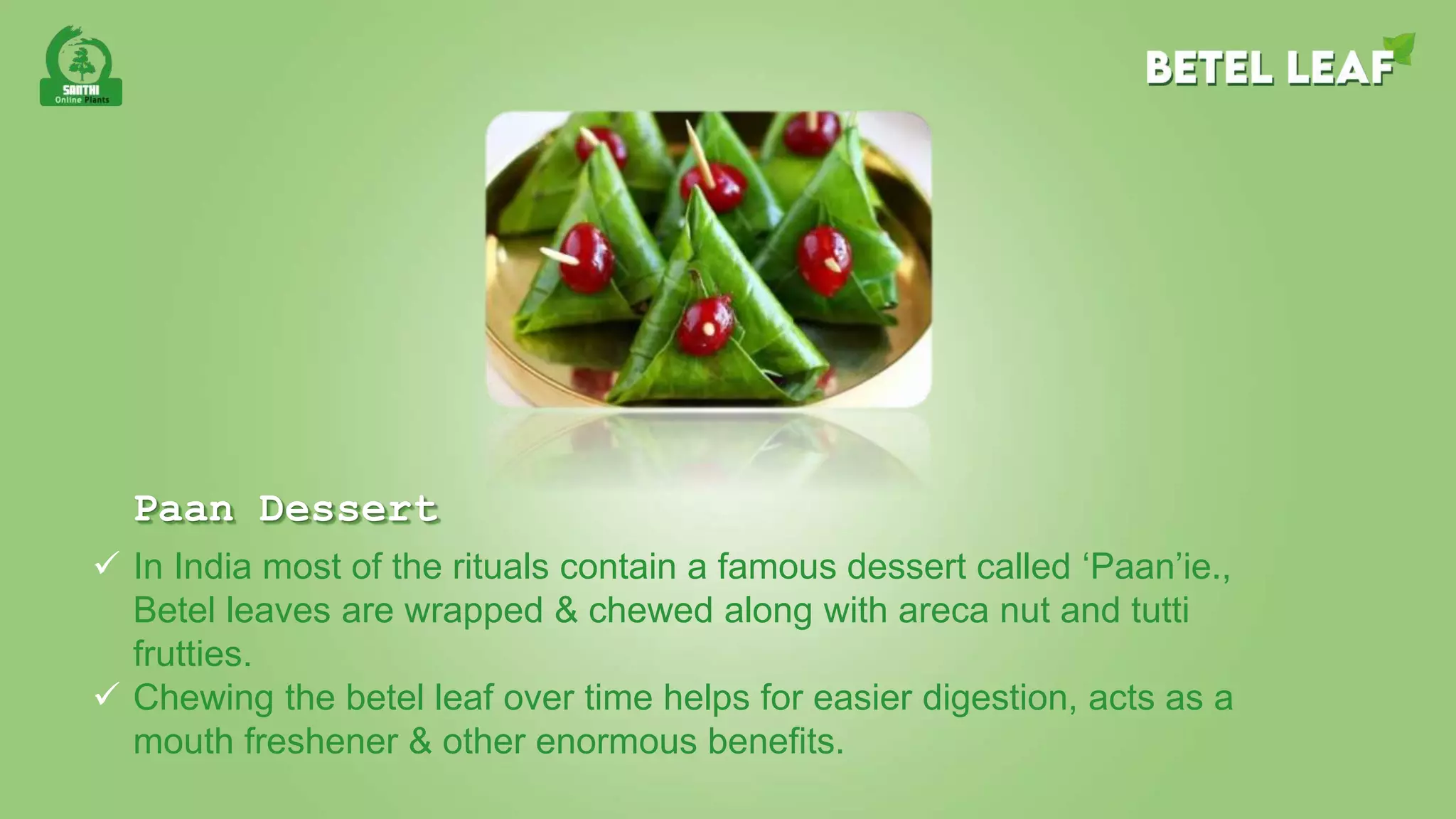 Betel Leaf.pptx