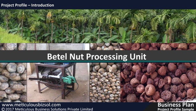 Betel Nut Processing Unit | PPTX | Commodities | Economy