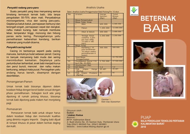 Beternak babi | PDF