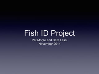 Fish Model Identification | PPTX