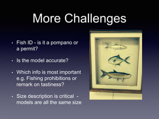 Fish Model Identification | PPTX