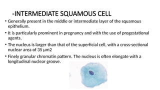 Bethesda Classification of Cervical Cytology-MANYA YADAV (1) (1).pptx