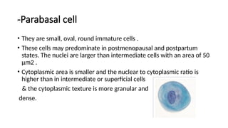 Bethesda Classification of Cervical Cytology-MANYA YADAV (1) (1).pptx