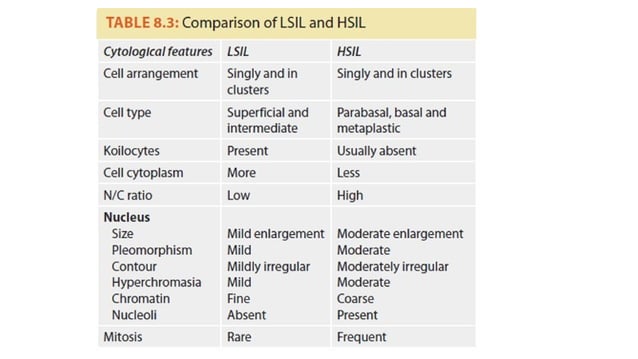 Bethesda Classification of Cervical Cytology-MANYA YADAV (1) (1).pptx