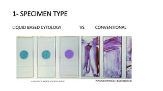 Bethesda Classification of Cervical Cytology-MANYA YADAV (1) (1).pptx