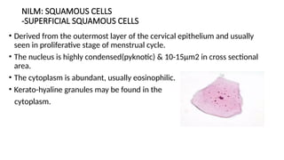 Bethesda Classification of Cervical Cytology-MANYA YADAV (1) (1).pptx