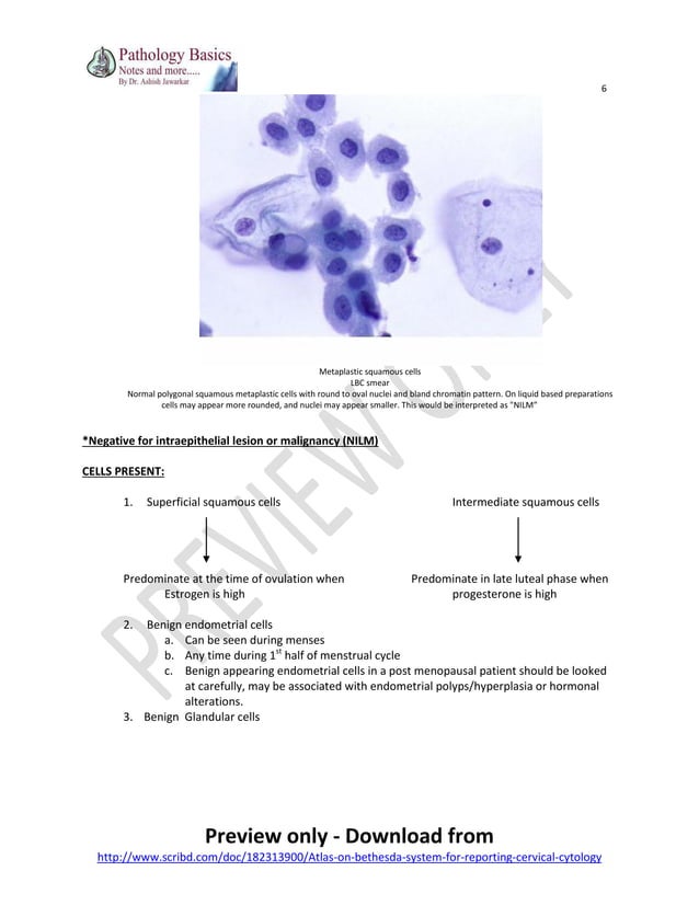 Atlas on bethesda system for reporting cervical cytology | PDF