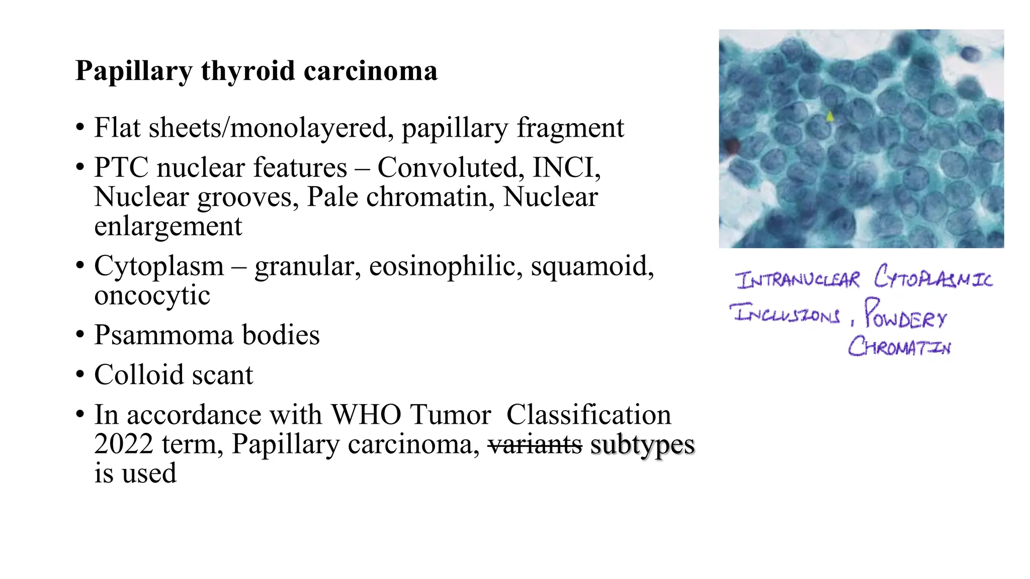 Bethesda updates with Thyroid path 2023.pptx